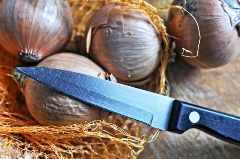 How To Tell If a Knife Is Sharp: 7 Ways to Test Your Knife's Sharpness ...