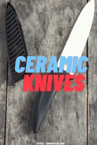 Ceramic Knives: 21 Things You Need to Know | Knife Pulse